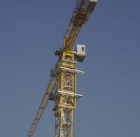 China 60m Jib Length 8t Load Tower Crane With Great Price QTZ80 PT6015-8 for sale