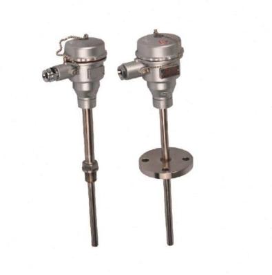 China WRNK-8423d explosion-proof thermocouple for sale