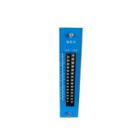 China Zhonghe Instrument 8000B/022 Dual Channel Shaft Vibration Monitoring Module | Turbine Vibration Protection System for sale
