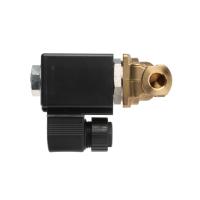 China Burkert 058796 Type 0255 Solenoid Valve 1/4 Inch | 2/2-Way Electromagnetic Valve for sale