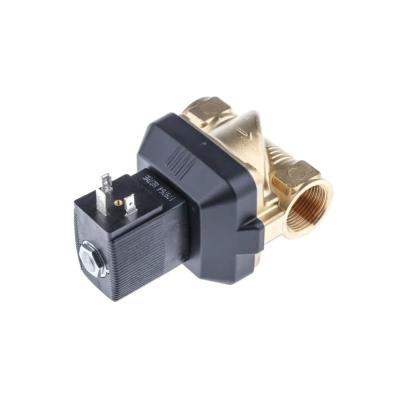 China Bürkert 221632 Solenoid Valve | 110V AC Electromagnetic Valve for sale