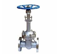 China High Temperature Pressure DZ41Y stainless steel cryogenic gate valve flange 50 ~ 300MM for sale