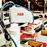 China Touch Screen Bag Carton Packer Machine PLC Control 3PH 380V 50HZ for sale