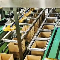 China Touch Screen Bag Carton Packer Machine PLC Control 3PH 380V 50HZ for sale