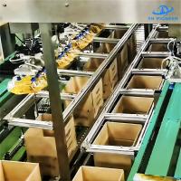 China Custom Bag Carton Packer Machine , Stainless Steel Carton Case Packer 5.5KW for sale