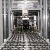 China Stainless Steel Bag Carton Packer Machine , Bag Case Packer 5-20cases/Min for sale