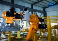 China Steel Frame Automatic Palletizing Systems Robotic Palletizer Heavy Duty 180kg Payload for sale