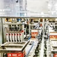 China 220V 50Hz Bottle Case Packing Machine Stainless Steel Construction PLC Control for sale