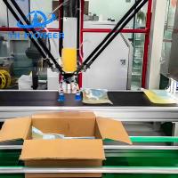 China IP65 Robot Bag Carton Packer Machine 25-100 Times/Min Delta Robot Case Packer for sale