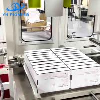 China Stainless Steel Carton Box Packer Adjustable Speed For Automated Pallet Packing for sale