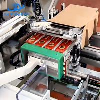 China Stainless Steel Carton Box Packer Adjustable Speed For Automated Pallet Packing for sale