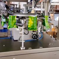 China 3KW Flexible Rotary Bag Feeding Packing Machine With 65-400mm Bag Length for sale