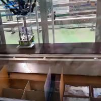 China High Precision Bag Carton Packer Machine Robotic Case Packer With 40-150PPM Speed for sale