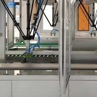 China Efficient Small Bag Carton Packing Machine for 20-30 Bags per Minute with 8kw Power and Adjustable Specifications for sale