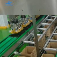 China Soft Bags Pouches Carton Packer Machine with Customizable Carton Size for sale