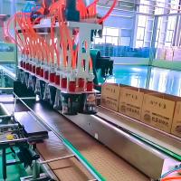 China Instant Noodles Carton Packer Machine for Fast and Reliable Packing for sale
