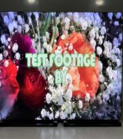 China P3 RGB Full Color LED Window Display Sign 640x1120mm 3840Hz Refresh for Shop Advertising for sale