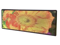 China Digital Board P2.5 Full Color LED Programmable Signs Indoor Video Advertising for sale