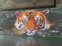 China P3.91 Indoor LED Screen 500x1000mm Wedding Hall Decoration Aluminum Cabinet 600cd for sale