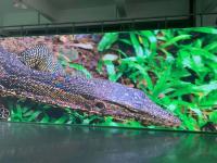 China Indoor LED Display P3.91 Full Color HDMI WiFi 500x1000mm Cabinet for sale