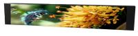 China P1.538 Led Window Display Signs High Definition 3840HZ High Referesh Rate for sale