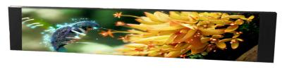 China P1.538 Led Window Display Signs High Definition 3840HZ High Referesh Rate for sale