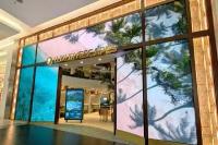 China Customized Pixel Pitch LED Window Display Signs Aluminum Frame Seamless Design High Brightness Digital Signage Solutions for sale