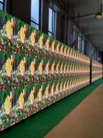China P6RGB Outdoor Programmable LED Display - 160x320mm Module Size, 6mm Pixel Pitch for High-Resolution Advertising for sale