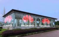 China P20mm Transparent LED Film Screen SMD2121 960x960mm Cabinet 3000cd/㎡ Brightness for Glass Wall Advertising for sale