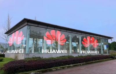 China P20mm Transparent LED Film Screen SMD2121 960x960mm Cabinet 3000cd/㎡ Brightness for Glass Wall Advertising for sale