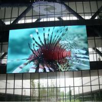 China P3.91mm Indoor Rental LED Screen for Stage Shows - 250x250mm Module, 1500 cd/m² Brightness, IP55 Rated for sale