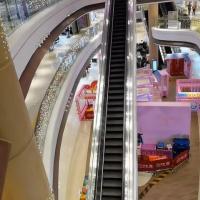 China 30° Smart Escalator for Indoor & Outdoor Use – Remote Monitoring with Predictive Maintenance for sale