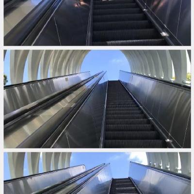 China Energy-Efficient Gen2 Life Escalator – Remote Monitoring for Enhanced Accessibility & Safety for sale