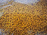China Yellow Masterbatch PE Carrier for Tube Pipe Plastic - 20-40% Pigment Concentration, 140-320℃ Processing Temperature for sale