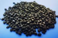 China Carbon Black Masterbatch LDPE Carrier 46% Concentration for Plastic Extrusion Molding - Non-Toxic High Dispersion 1.7 g/cm³ Density for sale