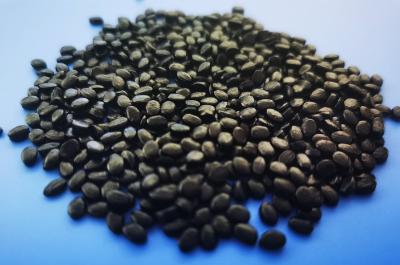 China Carbon Black Masterbatch LDPE Carrier 46% Concentration for Plastic Extrusion Molding - Non-Toxic High Dispersion 1.7 g/cm³ Density for sale