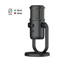 China Professional Studio Condenser Microphone For Gaming Youtube Live Streaming for sale