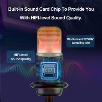 China 96KHZ 192KHZ USB Condenser Microphone With Shockproof Stand for sale
