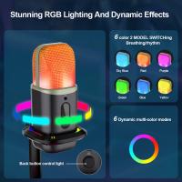 China 96KHZ 192KHZ USB Condenser Microphone With Shockproof Stand for sale