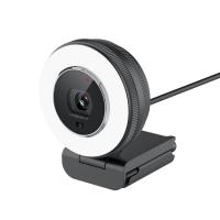 China Black HD 1080p Webcams With Built In 2pcs Microphone 30fps / 60fps Frame Rate for sale