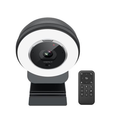 China Built In 2pcs High Definition Microphone 78 Degree Webcam With USB Connectivity for sale