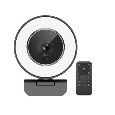 China Automatic High Definition Webcam With Built In 2pcs Microphone 30fps 60fps Frame Rate for sale