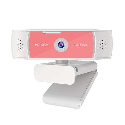 China 1944P FHD 1080P Video Camera Light Frequency 50 / 60Hz Pink Color Webcam for sale