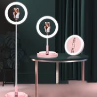 China 10 Grade 4 Colors 10 Inch 12in Foldable Selfie Ring Light With Phone Holder for sale