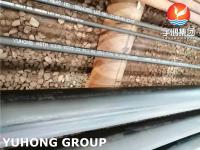 China Black Painting Beveled ASTM A335 P11 Alloy Steel Seamless Pipe for sale