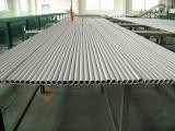 China Stainless Steel Seamless Tube ASTM A213 TP317/317L, Heat Exchanger Application for sale