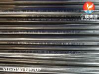 China ASTM A249/ASME SA249 TP316L SS Welded Tube for Super Heater and Heat Exchanger Tube for sale
