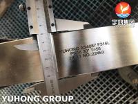 China AS4087 F316L FF 30