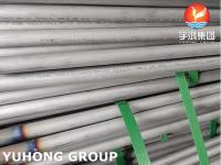 China ASTM A213 TP317L Seamless Stainless Steel U Bend Tube Applied For Heat Exchanger for sale