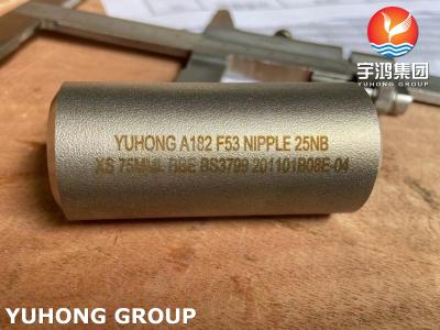 China ASTM A182 F53 Forged NPT Hex Nipple for Offshore and Marine Industry for sale
